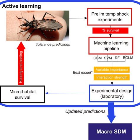 Schematic Description Of The Active Learning Approach Used In This Download Scientific Diagram