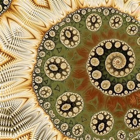 Mandelbrot Julia Set Transformation R Fractals