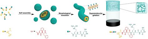 fc ffrgd self assembling process for the production of supramolecular