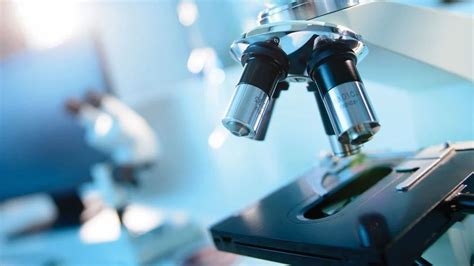 Pathological Lab Project Report In New Delhi Id 2853127999462