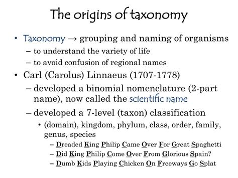 PPT Taxonomy Naming And Grouping PowerPoint Presentation Free Download ID 1816770