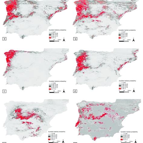 Maps Representing The Predicted Habitat Suitability Generated From The Download Scientific