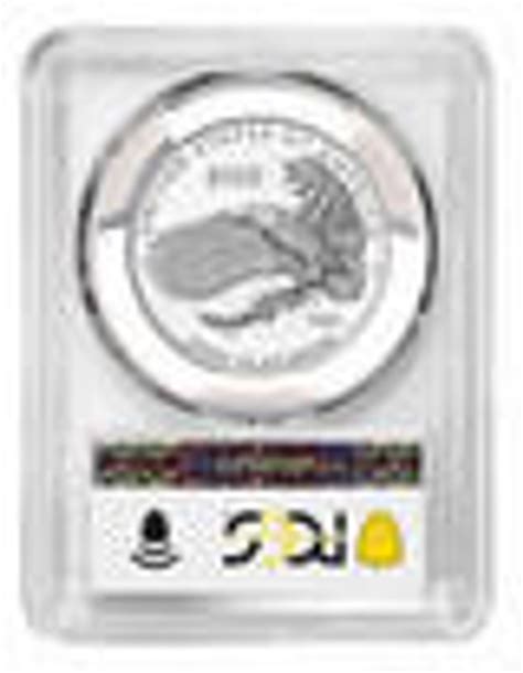 2023 100 Platinum Eagle Pcgs Pr70 Dcam First Day Of Issue