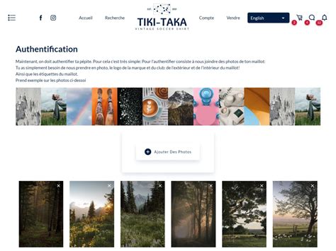 A Complete Web App Build By Vuenuxt With A Great Delivery Time Upwork