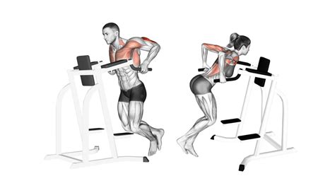 Tricep Dip Grip Width At Robert Baca Blog