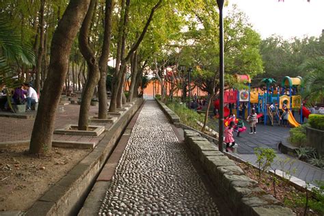 謝寶幸福窩 桃園 奧爾森林學堂 虎頭山森林王國