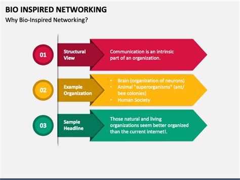 Bio Inspired Networking PowerPoint And Google Slides Template PPT Slides