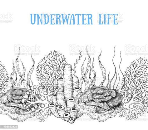 수중 생활 손으로 그린 스케치 벡터 일러스트레이션 해초와 산호 컬러 일러스트레이션 수평 이음새가 없는 패턴 디자인 템플릿 수중 세계 손으로 그려졌습니다 바다에 대한 스톡