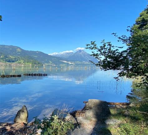 [스위스 인터라켄]인터라켄에서 출발하는 오픈카 드라이브 투어 툰 코스 줌줌투어 스위스 인터라켄