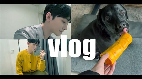 Vlog 2부 30대 남자 나는 리트리버랑 산다 4k Youtube