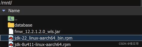 ARM Linux ORACLE JDK 22 的下载安装及环境变量的配置 jdk22环境变量配置 CSDN博客