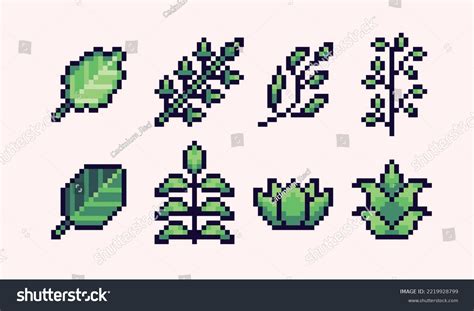 Tree Shrub Herb Images Stock Photos Vectors Shutterstock