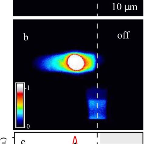Color Online Operation Of The All Optical Excitonic Transistor