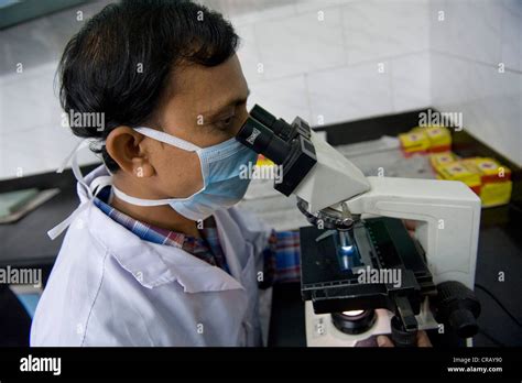 Examining Specimen Under Microscope At Timothy Simpson Blog