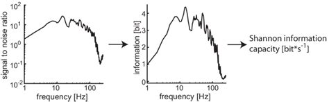 6 Estimation Of The Shannon Information Capacity Left The Response Download Scientific