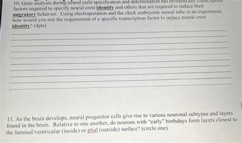 Solved Factors Required To Specify Neural Crest Identity And