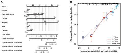Nomogram Model Construction A Nomogram B Calibration Plot