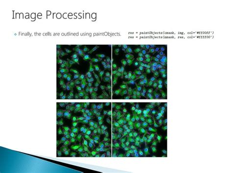 Data Science Part Xvii Deep Learning And Image Processing Ppt