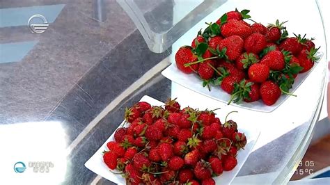 რითი განსხვავდება ერთმანეთისგან ქართული და შემოტანილი მარწყვი Youtube