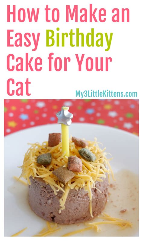 How To Make An Easy Birthday Cake For Your Cat Homemade Cat Food Cake Recipe For Cats
