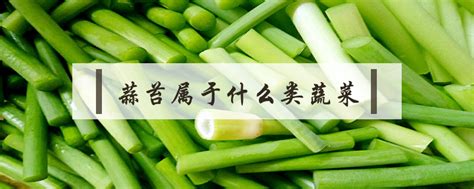 蒜苔是大蒜长出来的吗 鲜淘网