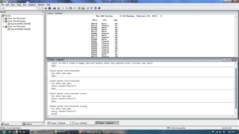 SAS Proc Print Proc Sort YouTube
