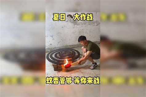蚊子大作战 你敢来我就敢点敢点蚊子作战