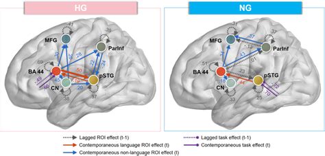 Effective Connectivity Modeling Results Group‐mean Connectivity Download Scientific Diagram