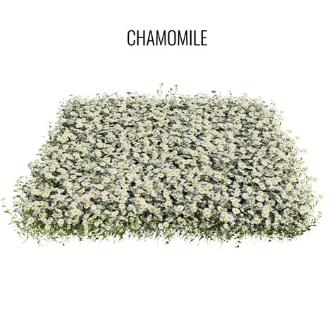 Grass 4 Game Unity Hdrp Gamedev Market