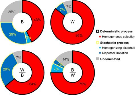 Contributions Of Deterministic And Stochastic Processes Governing