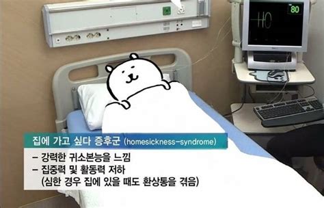 Instiz