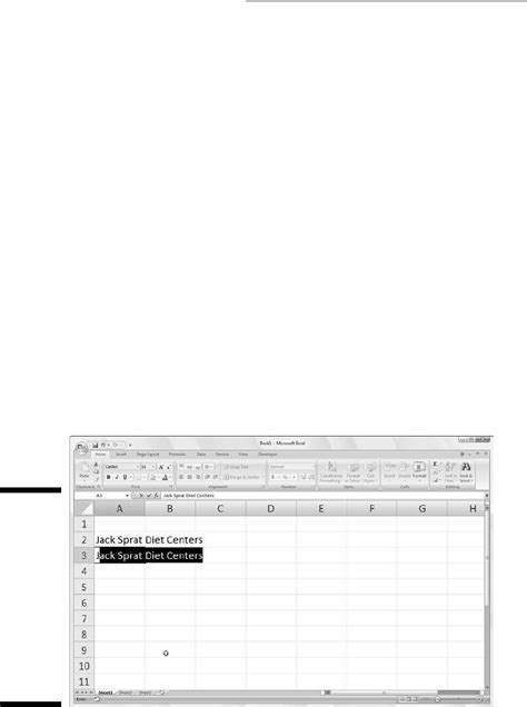 microsoft office excel 2007 for dummies