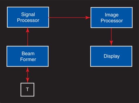 Phy 201 Ppt Chapter 4 Imaging Anatomy Flashcards Quizlet