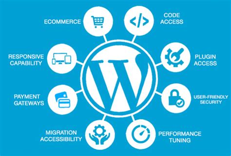 Install Wordpress Setup Theme Exactly As Demo By Rabbihossain Fiverr