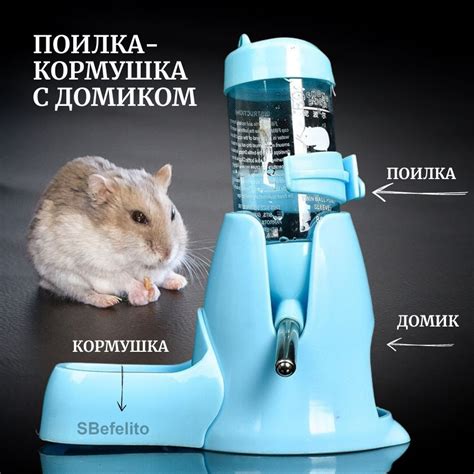 Кормушка с автоматической поилкой и домиком для грызунов хомяк мышь декоративная крыса дегуи