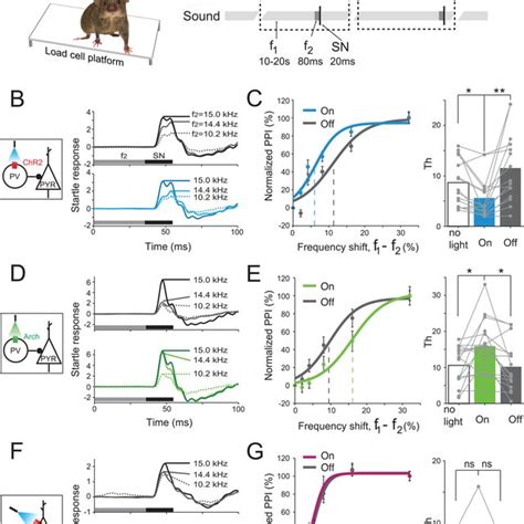 Mutually Coupled Excitatoryinhibitory Neuronal Model Accounts For Download Scientific Diagram