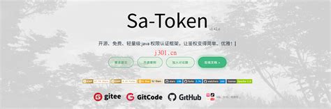 Sa Token：轻量级java权限认证框架，登录鉴权超简单 笨鸟编程导航