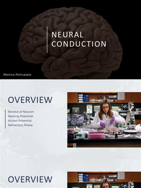 Neural Conduction Pdf Membrane Potential Action Potential