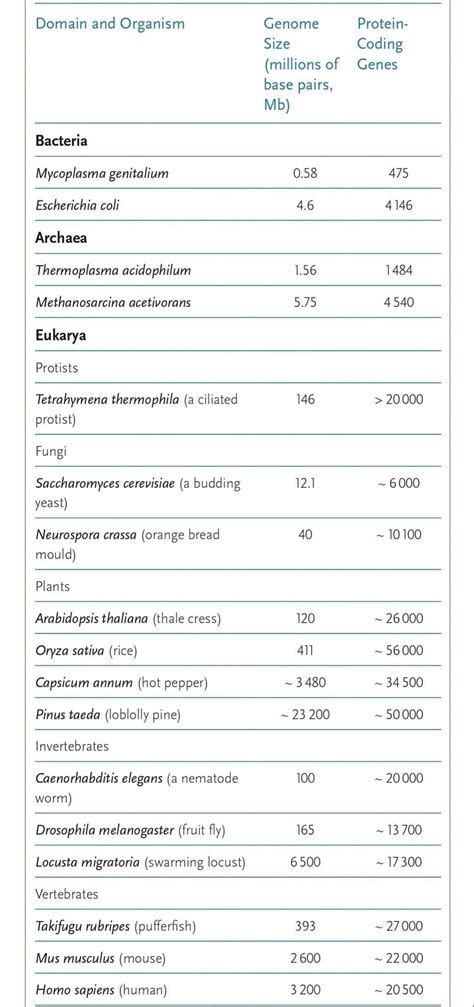 hanaa fayed on linkedin genome sizes and estimated number of protein coding genes for selected…