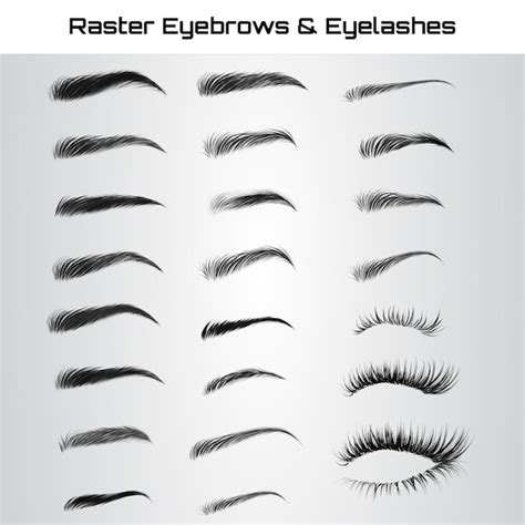 High Resolution Raster Eyebrow Eyelashes Premium Ai Generated Vector