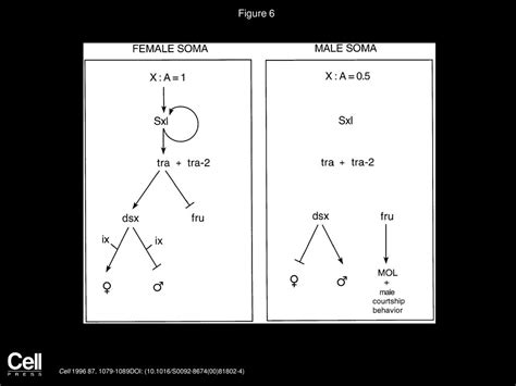 Volume 87 Issue 6 Pages December 1996 Ppt Download