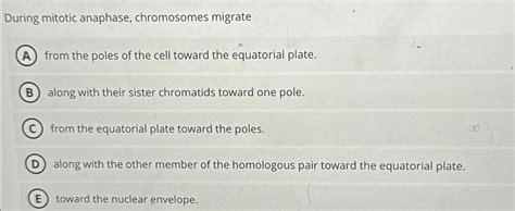 Solved During Mitotic Anaphase Chromosomes Migratefrom The