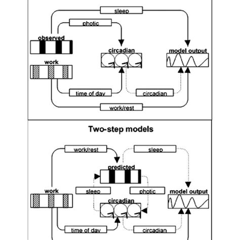 One Step Top And Two Step Bottom Biomathematical Models Download Scientific Diagram
