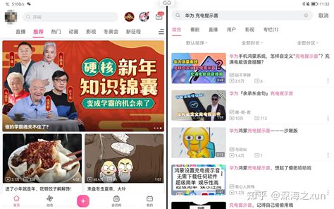 哔哩哔哩国内版与海外版对比 知乎