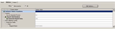 How To Use Match Transform In Bods 41 For Dedupl Sap Community