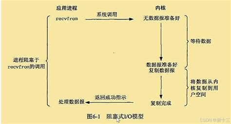 网络编程 服务器（多路复用io 和 Tcp并发模型）网络多路复用io模型编写程序 Csdn博客