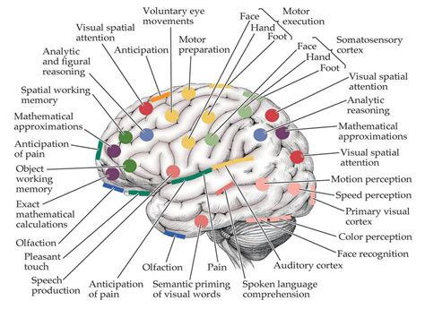 Github Dragoncomputercerebrum Crossmodal Supervised Learning Toolkit Using High Performance