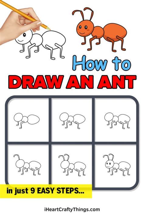 Ant Drawing How To Draw An Ant Step By Step