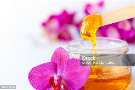 머리 제거를위한 설탕 페이스트 또는 왁스 꿀나무 왁싱 주걱 스틱에서 아래로 흐른다 꽃 배경 제모 및 뷰티 개념 0명에 대한 스톡 사진 및 기타 이미지 Istock