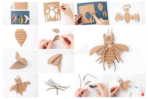 Step By Step Process Of Making A Cardboard Insect Craft Diy Handmade